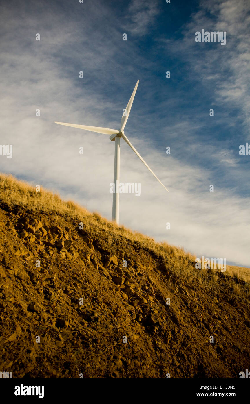 Bruce windmill hi-res stock photography and images - Alamy