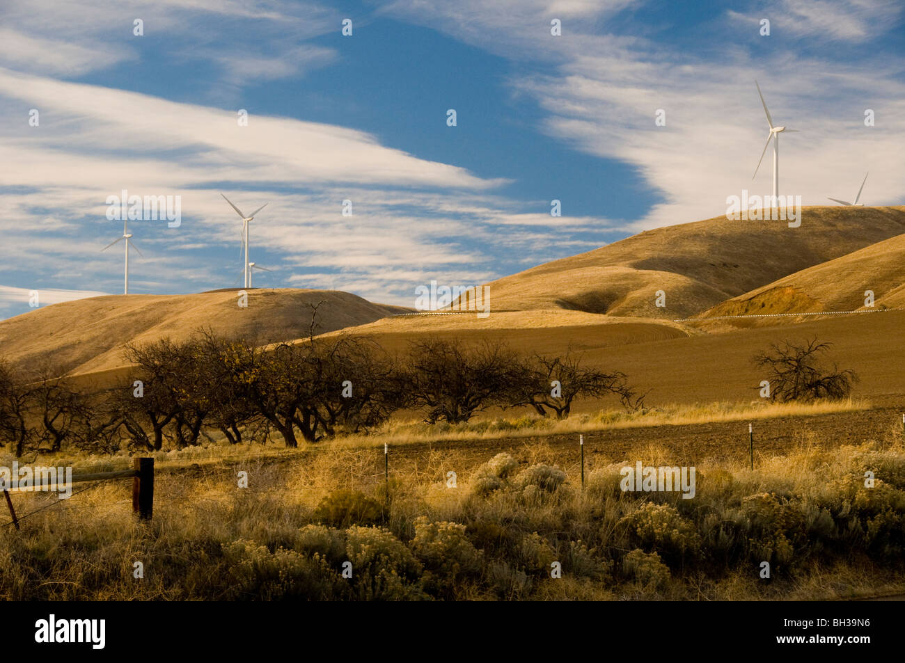 Hillside wind turbine washington hi-res stock photography and images ...
