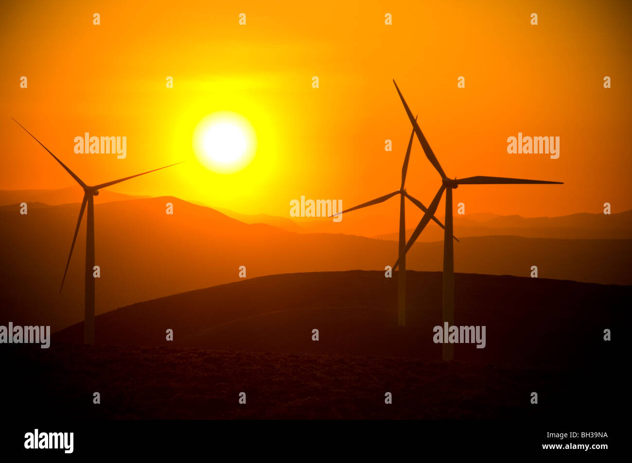 Windy Point Wind Farm at Sunset in Klickitat, Washington Photo by Bruce ...