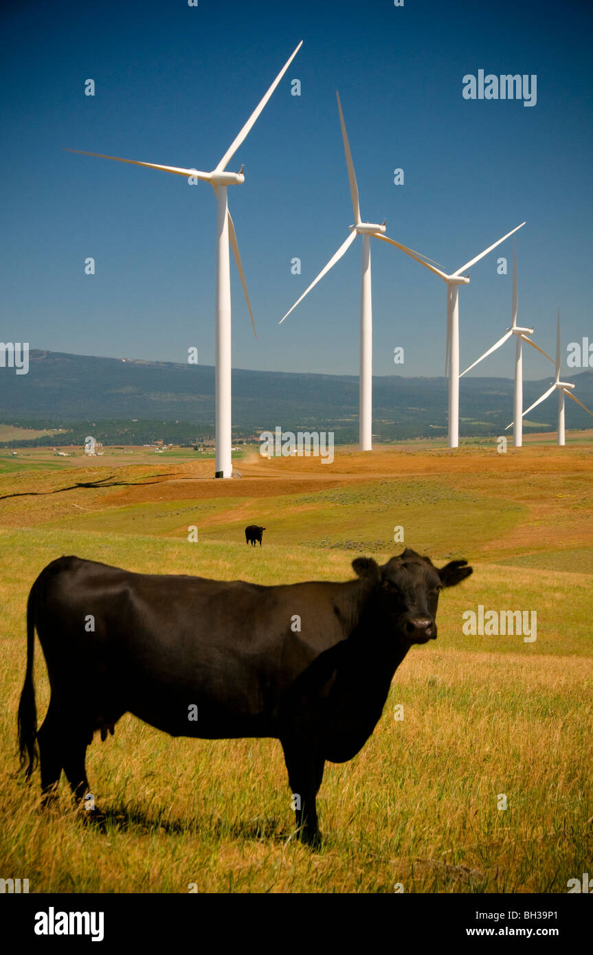 Klickitat county hi-res stock photography and images - Alamy