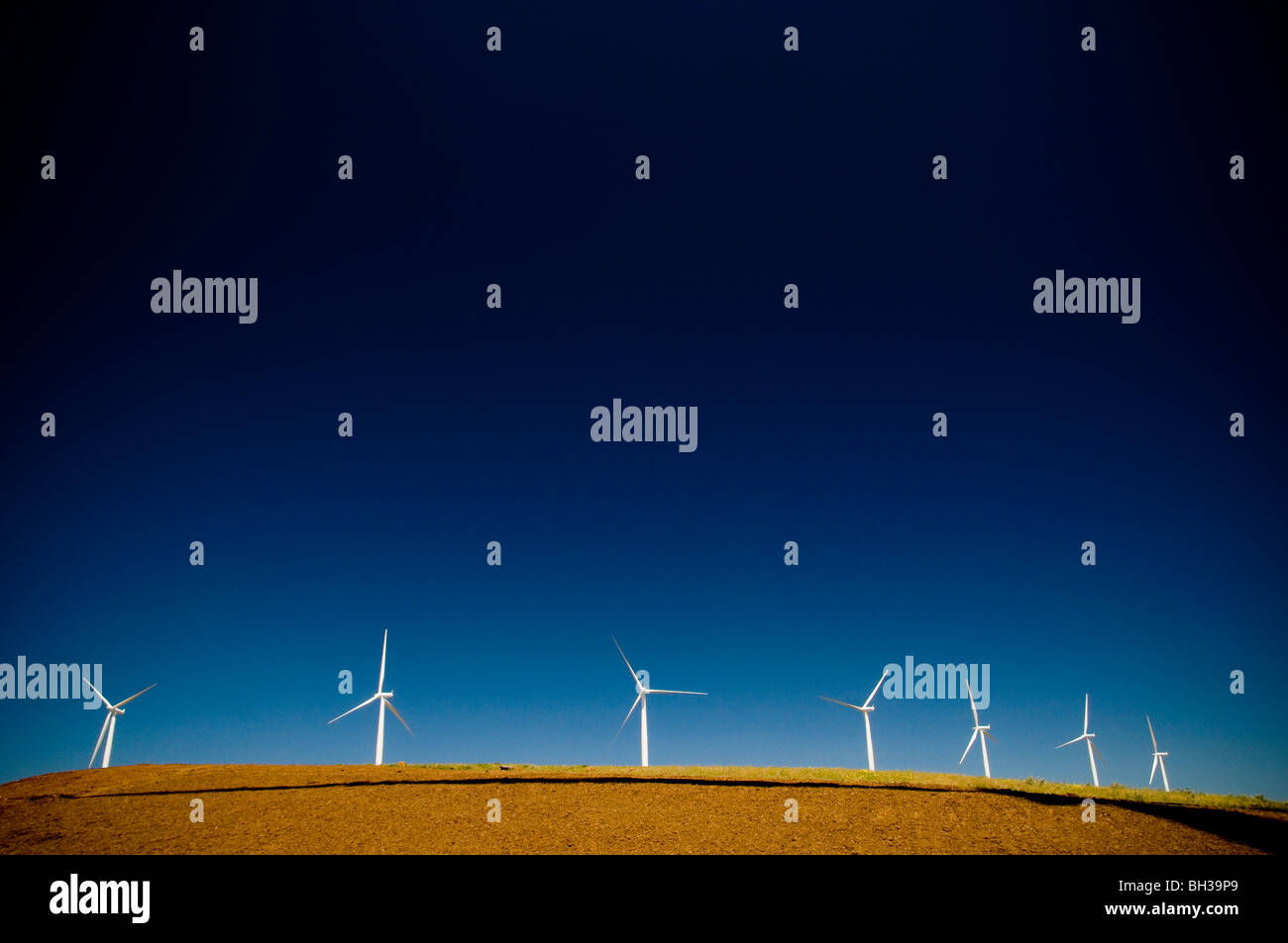 Windy Flats Wind Farm Photo by Bruce Forster 2009 Stock Photo - Alamy