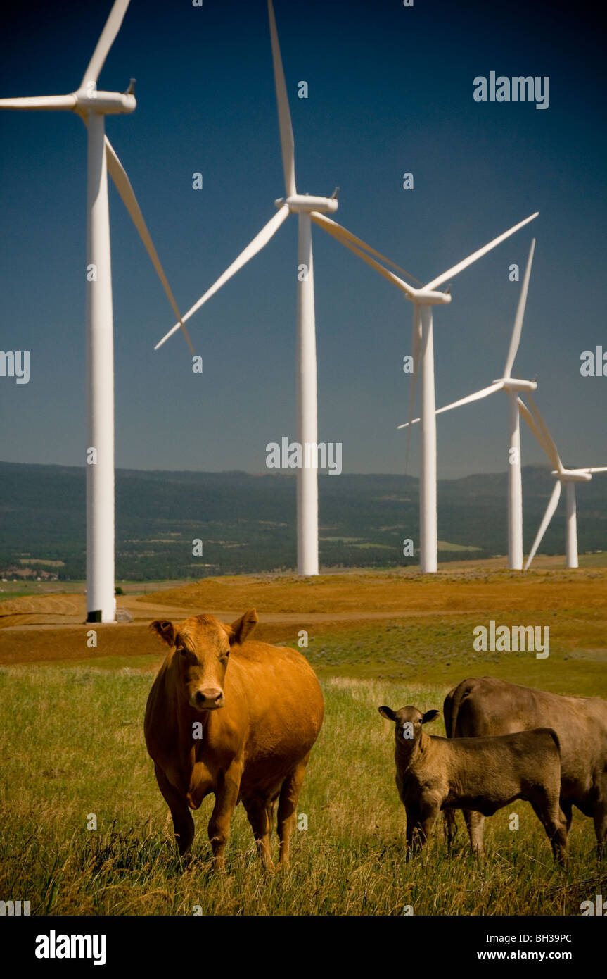 Windy Point Wind Farm in Klickitat County, Washington Photo by Bruce ...