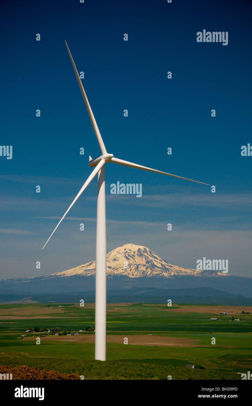Windy Flats Wind Farm Photo by Bruce Forster 2009 Stock Photo - Alamy