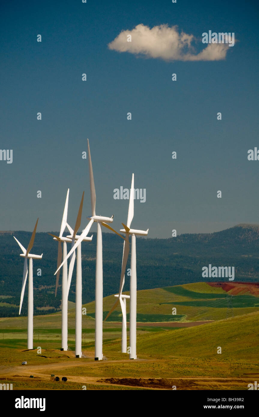 Windy Flats Wind Farm Photo by Bruce Forster 2009 Stock Photo - Alamy