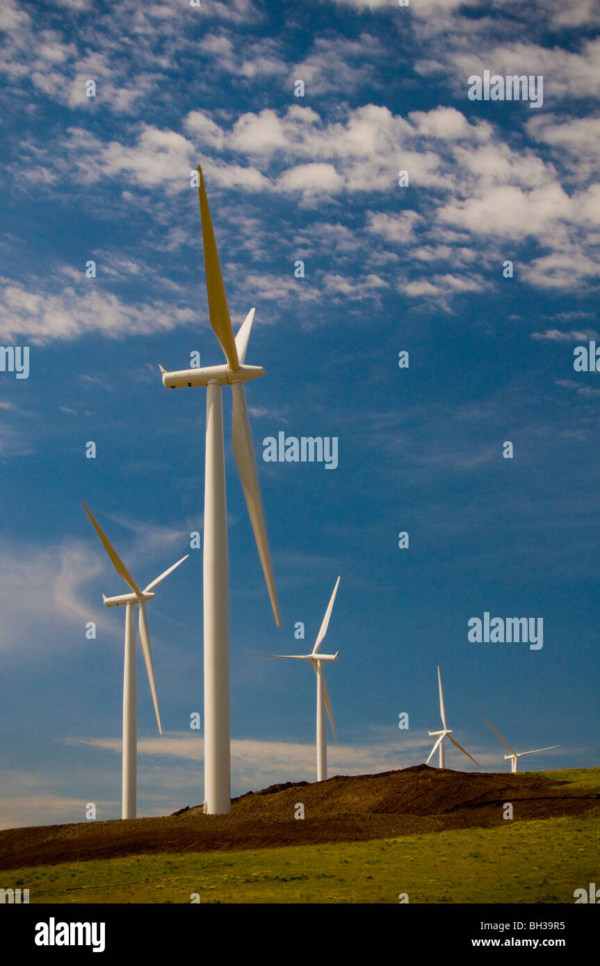 Windy Flats Wind Farm Photo by Bruce Forster 2009 Stock Photo - Alamy