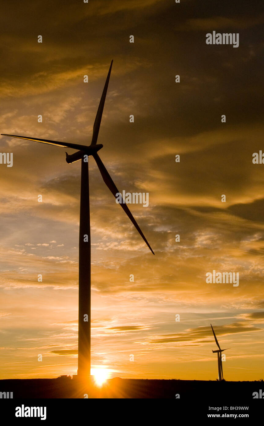 Hillside windy point hi-res stock photography and images - Alamy