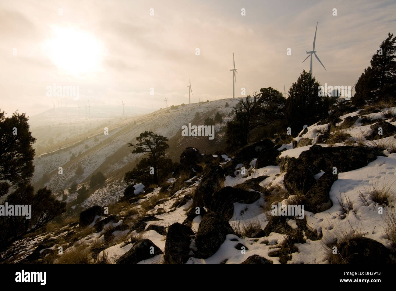 Windy Point Wind Farm in Klickitat County, Washington Photo by Bruce ...