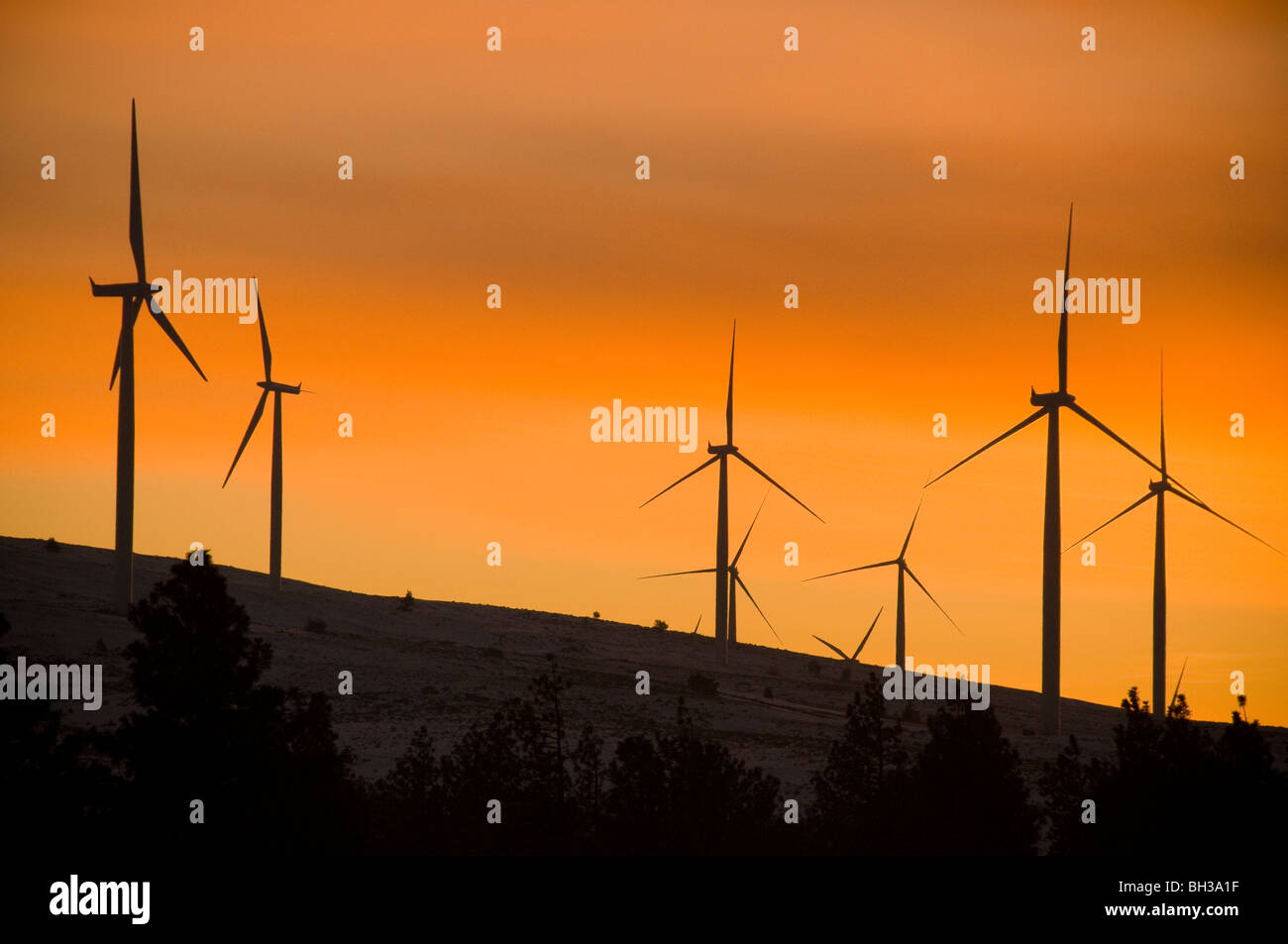 Windy Point Wind Farm in Klickitat County, Washington Photo by Bruce ...