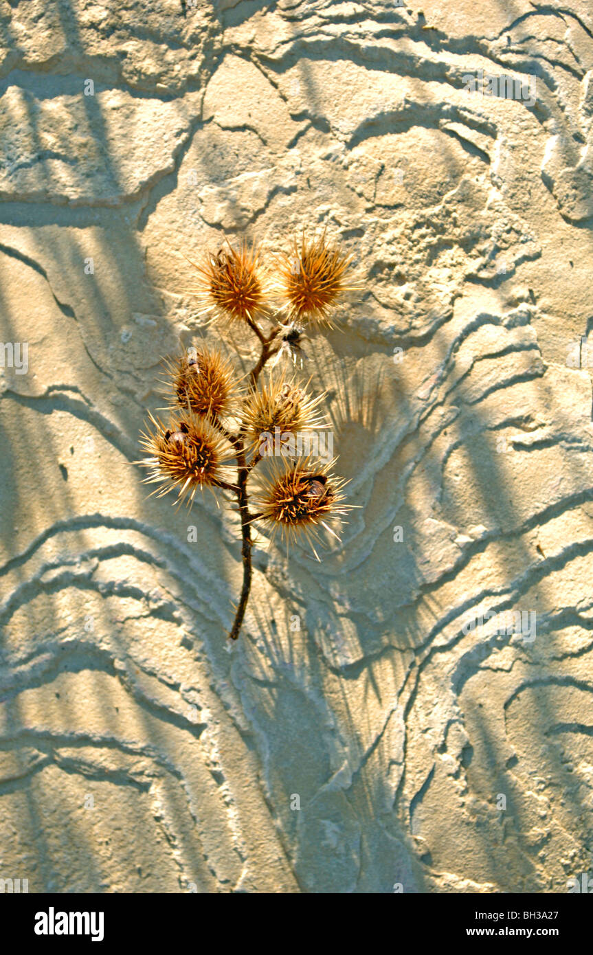 Erosion erosion erosion erosion surface hi-res stock photography and ...