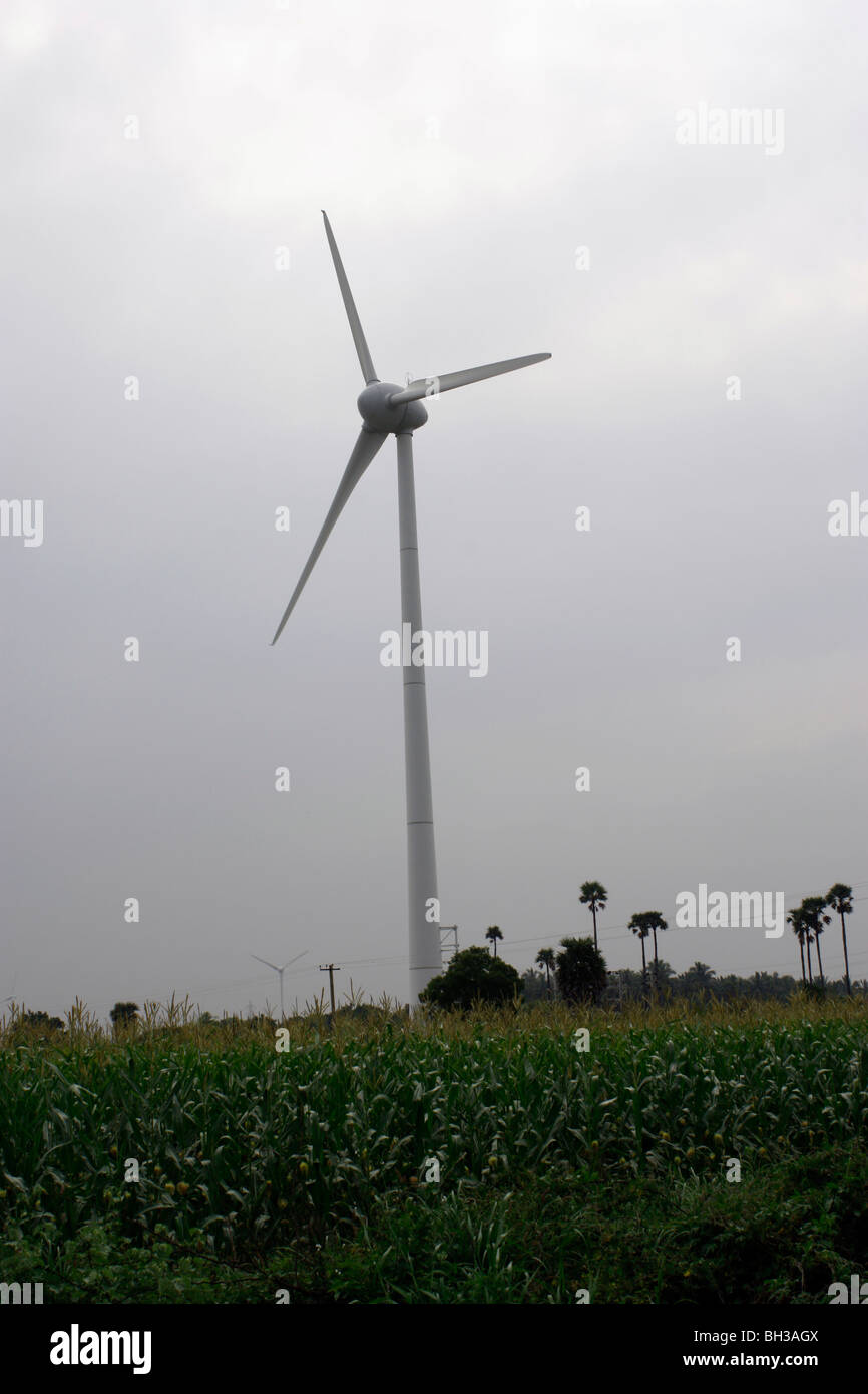 Pollachi hi-res stock photography and images - Alamy