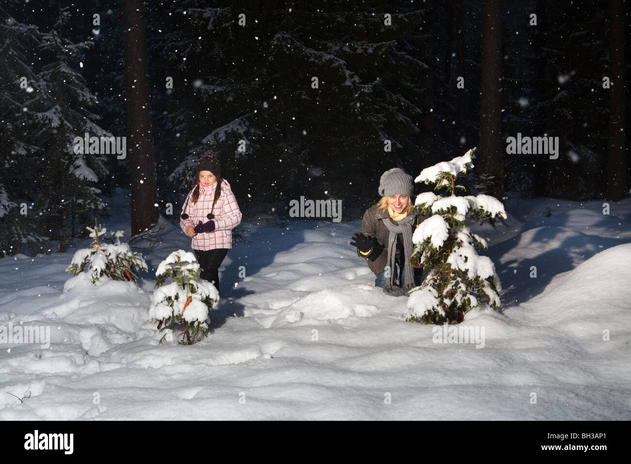 Deep spruce forest hi-res stock photography and images - Alamy