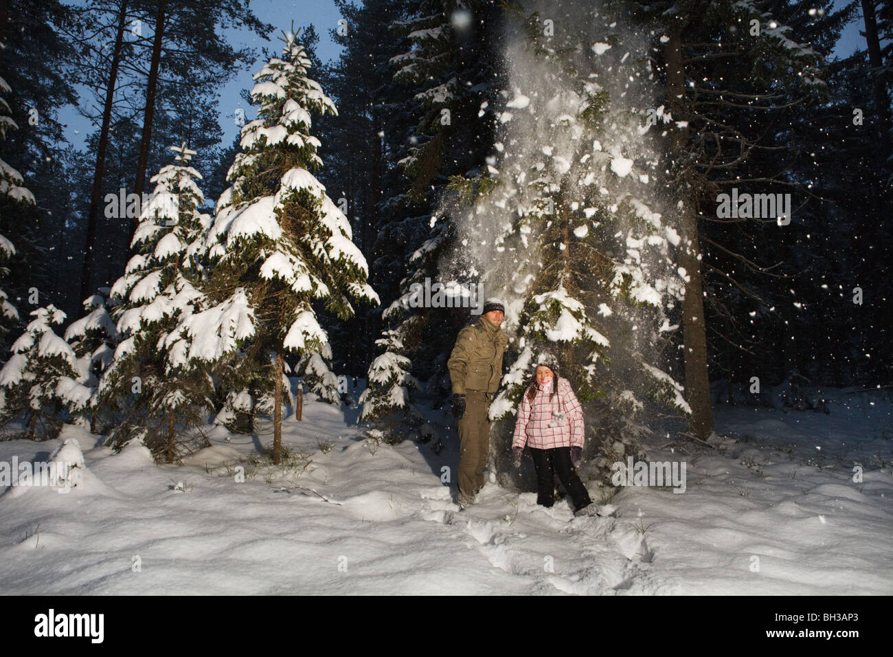 Deep spruce forest High Resolution Stock Photography and Images - Alamy