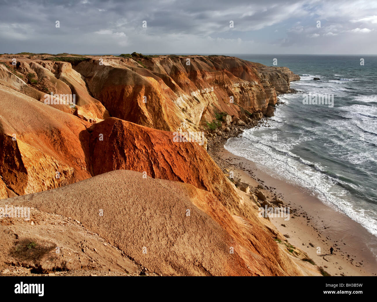 Australianblanche hi-res stock photography and images - Alamy
