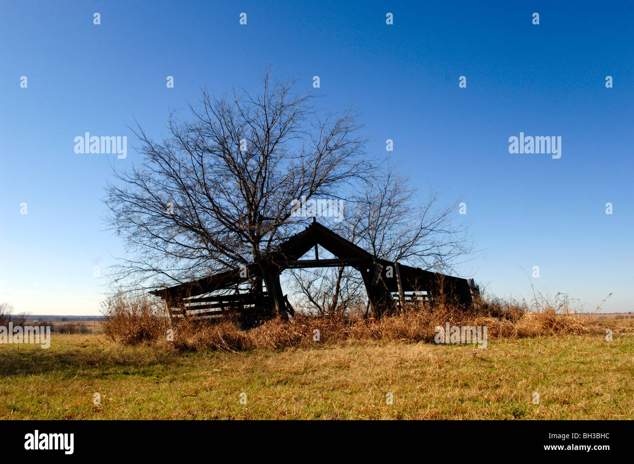 Rural america 1920s rural farm life hi-res stock photography and images ...