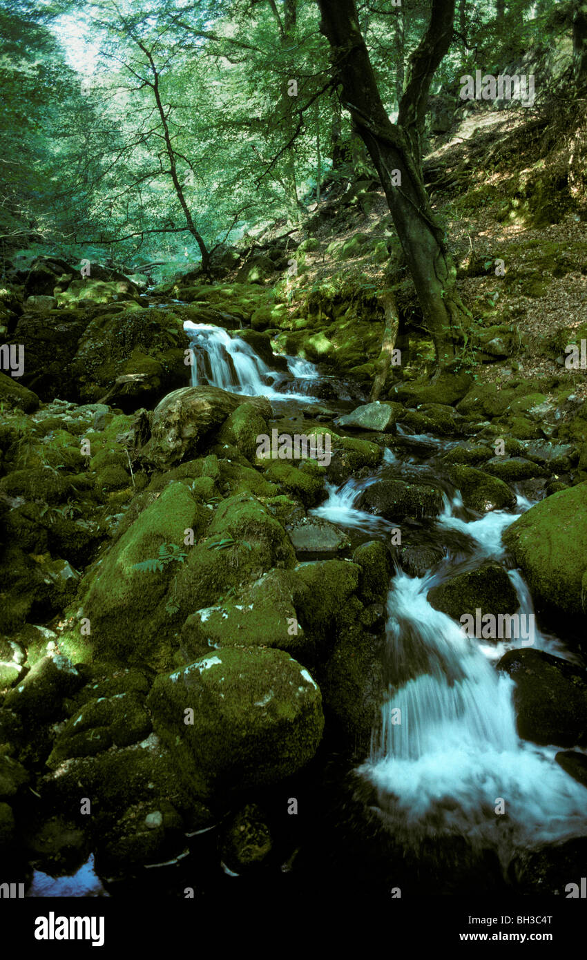 English wood river hi-res stock photography and images - Alamy