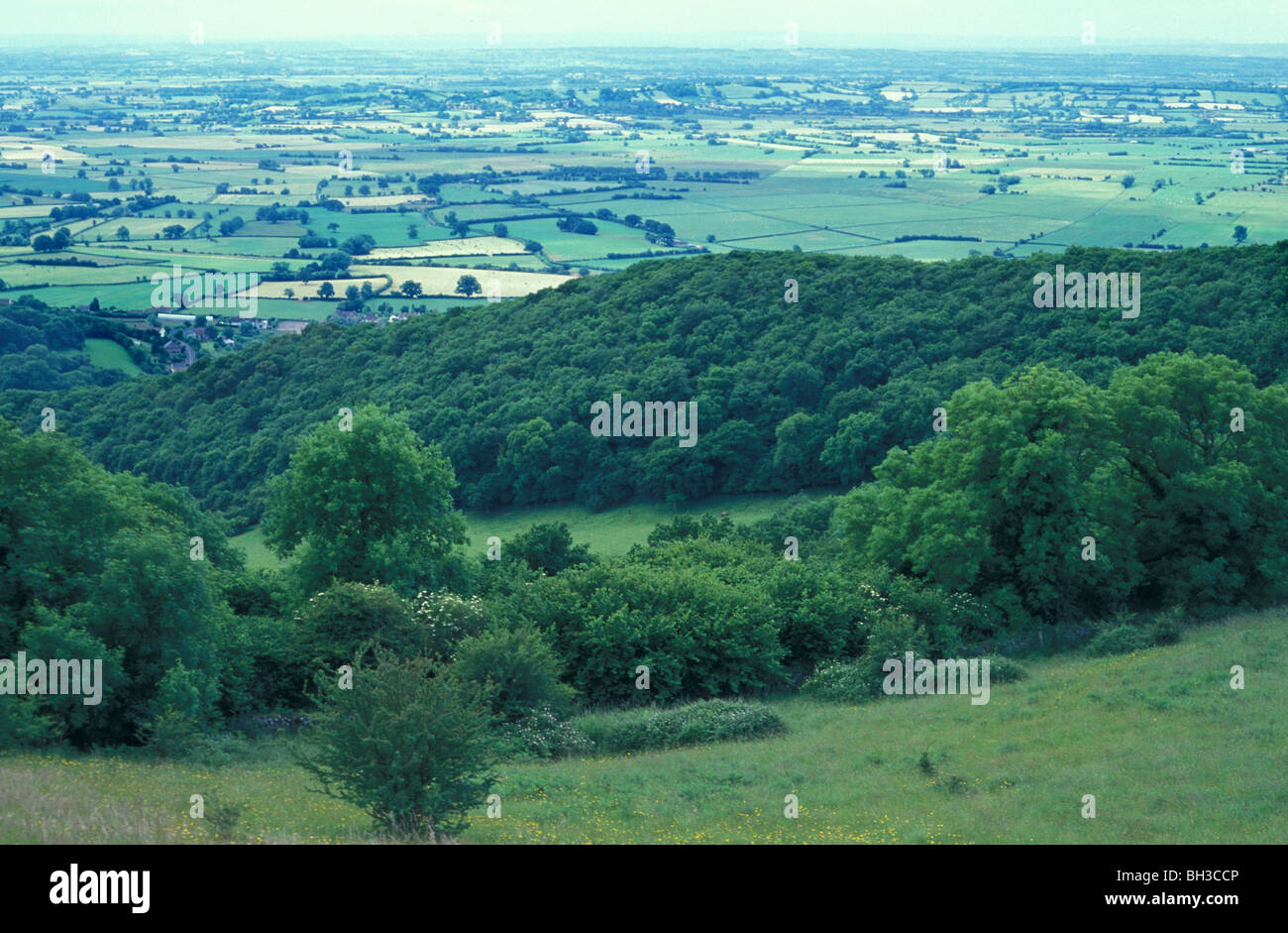 Rodney stoke national nature reserve hi-res stock photography and ...