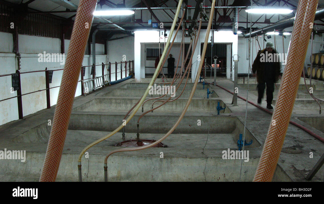 Terroir of benslimane concrete vats typical to north africa hi-res ...
