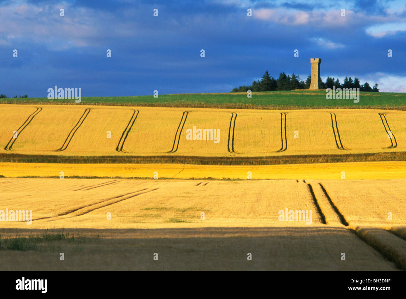 Tower monument in farming fields near Tarves, Aberdeenshire, Scotland ...
