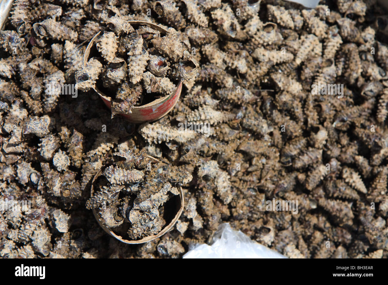 Africa Fish Stalls Food Ghana Jukwa Market Stock Photo - Alamy