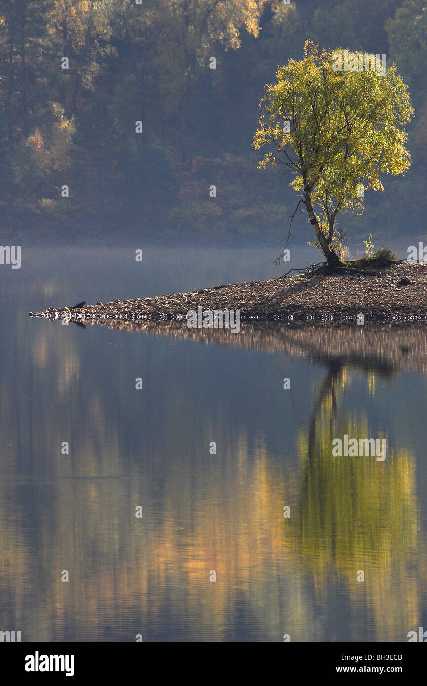 Reflection stillness hi-res stock photography and images - Alamy