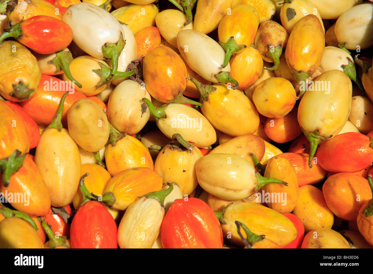 Fruit vegetable hi-res stock photography and images - Alamy