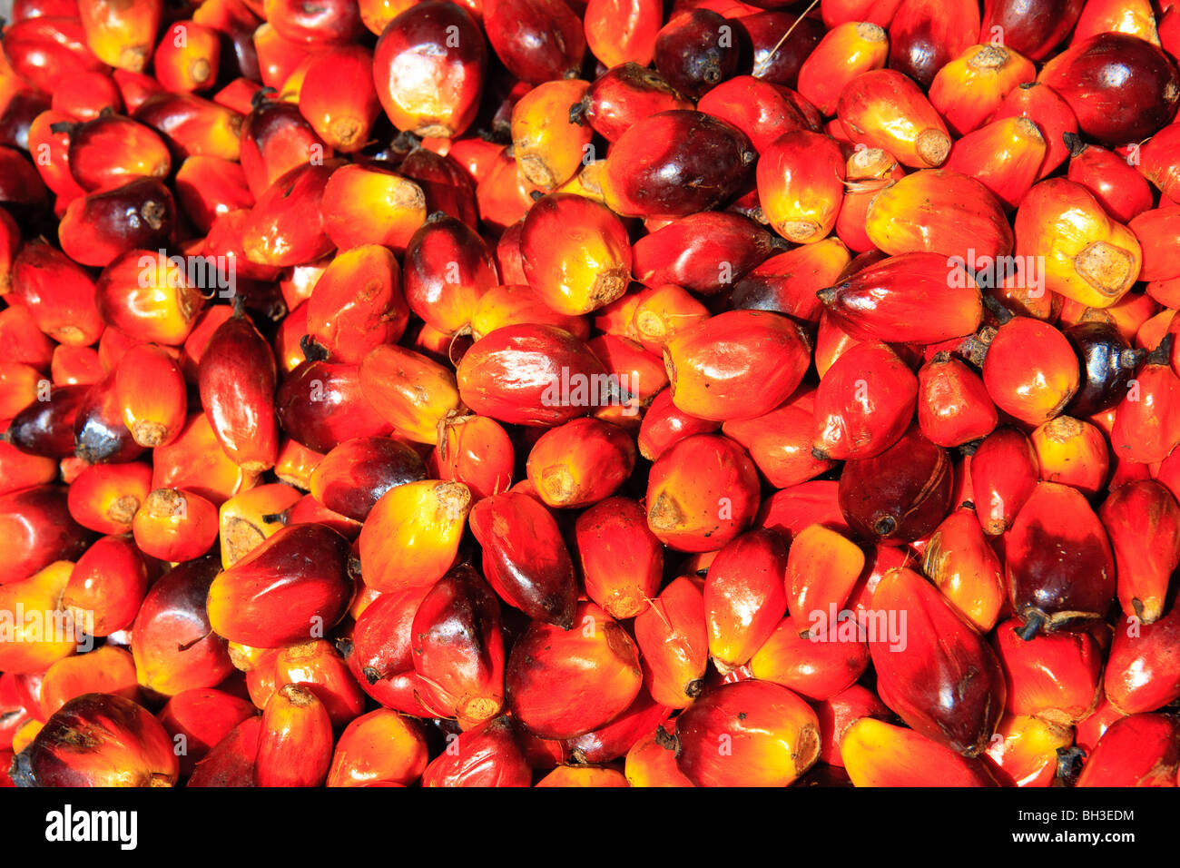 Africa Fruit Vegetable Ghana Jukwa Market Stock Photo - Alamy
