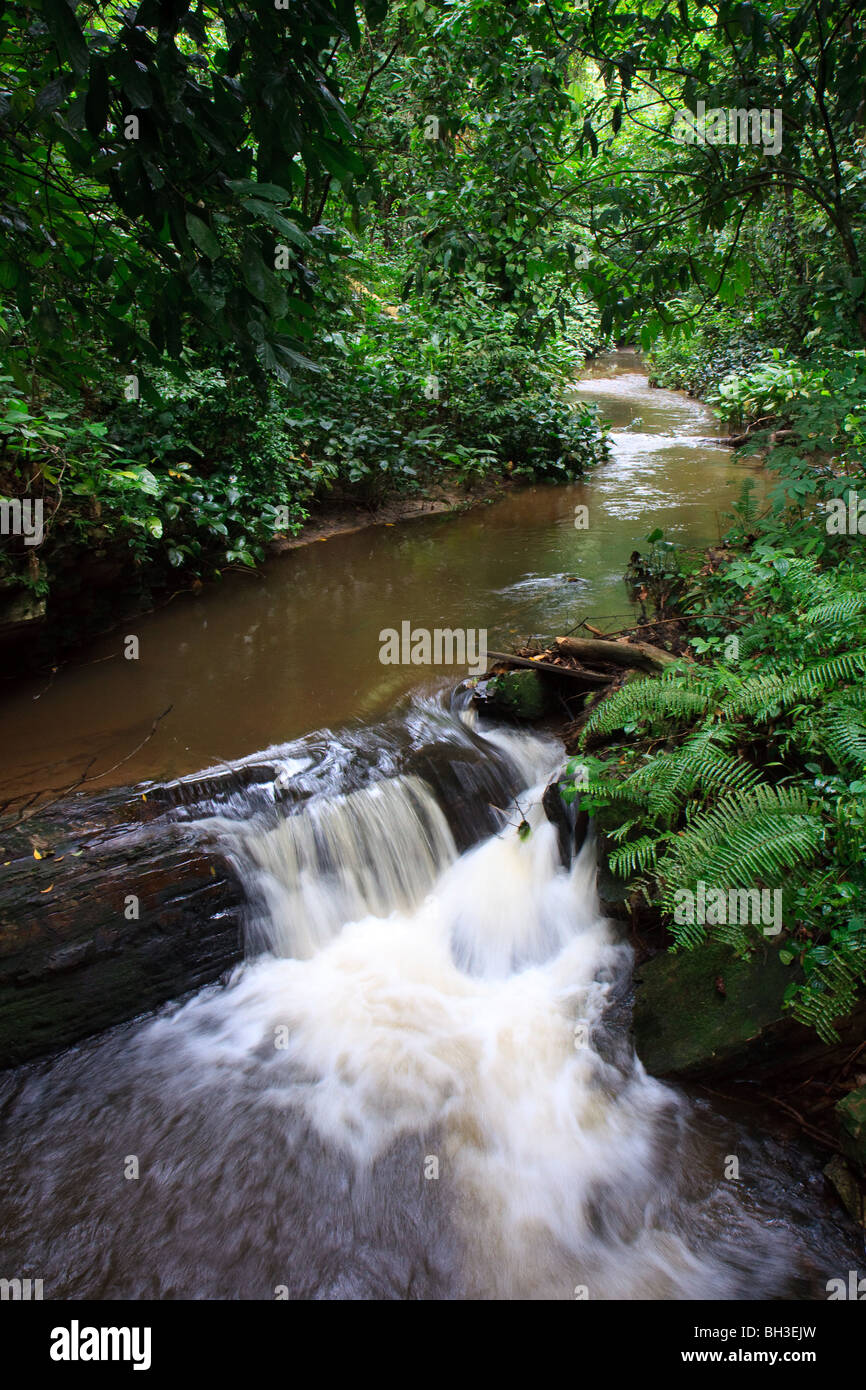 Africa Ghana Rivers Water Wli Waterfall Stock Photo - Alamy
