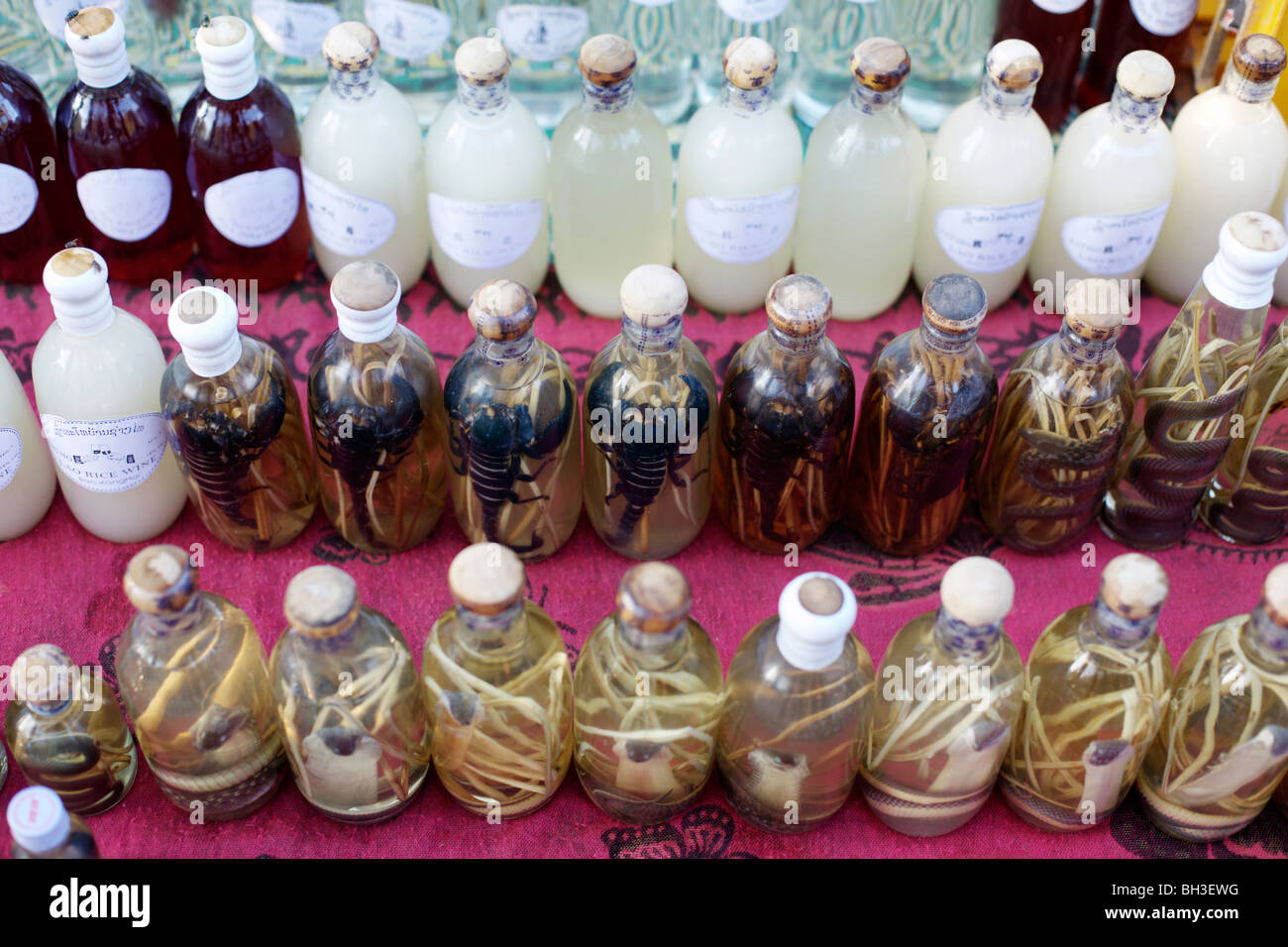 Snakes and scorpions in bottles of alcohol for sale on a market stall ...