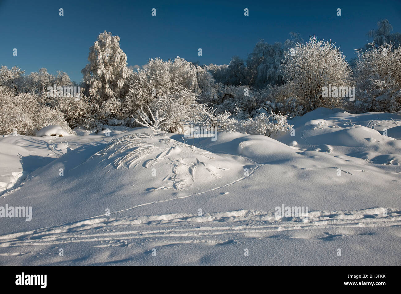 Drift tracks hi-res stock photography and images - Alamy