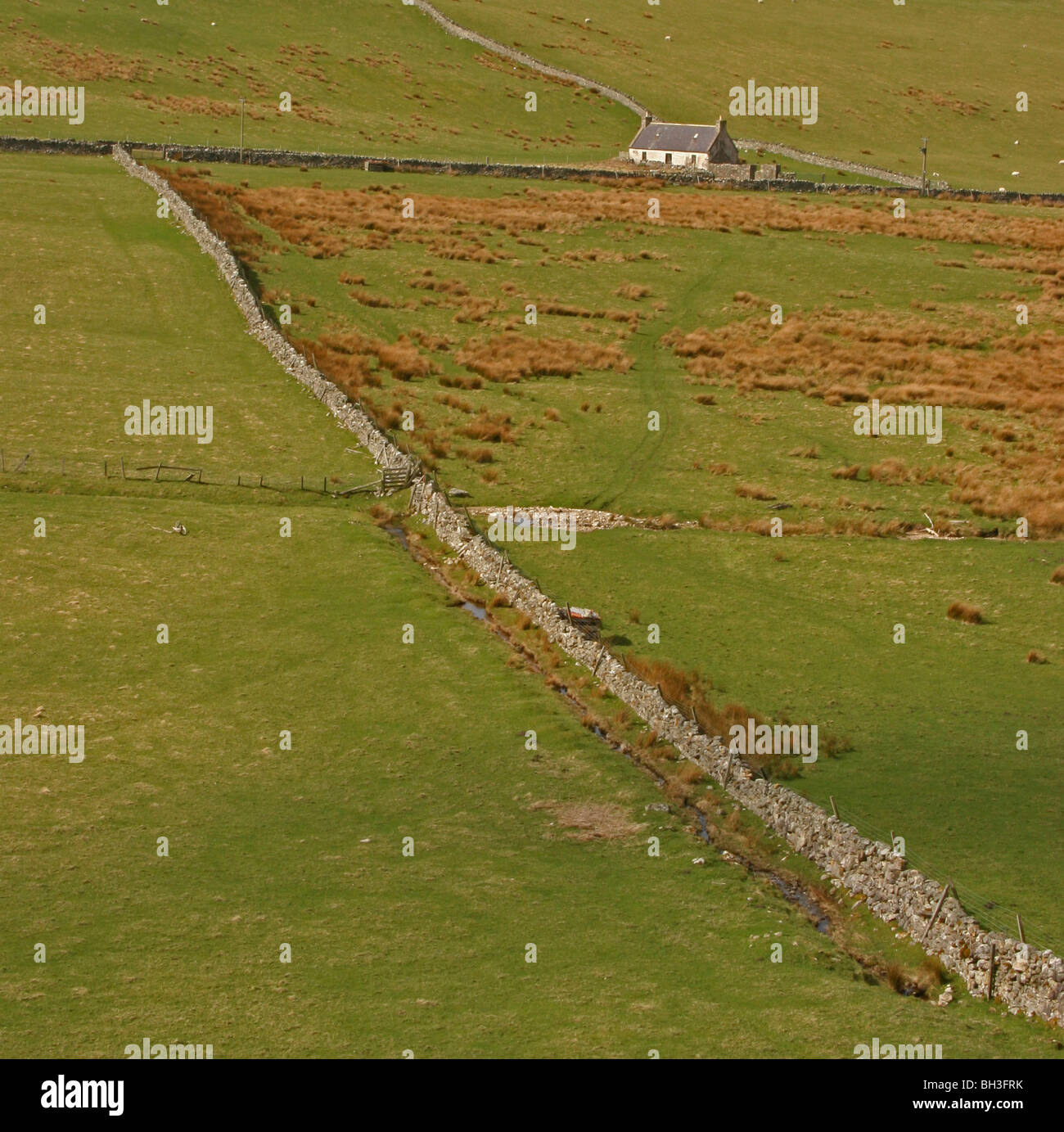Croft house and fields near Loch Eriboll Stock Photo - Alamy