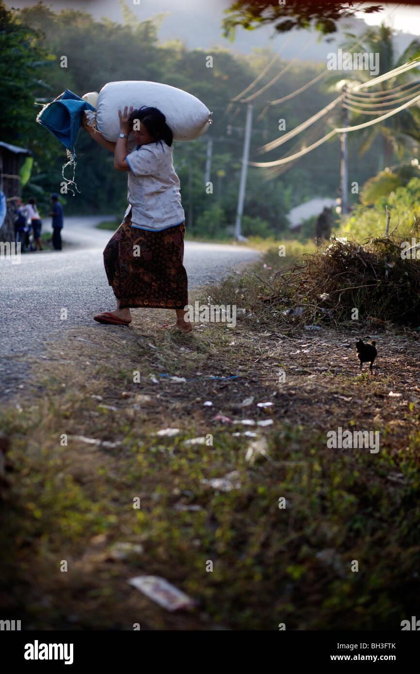 A woman carries a sack of rice in Laos, south east Asia Stock Photo - Alamy