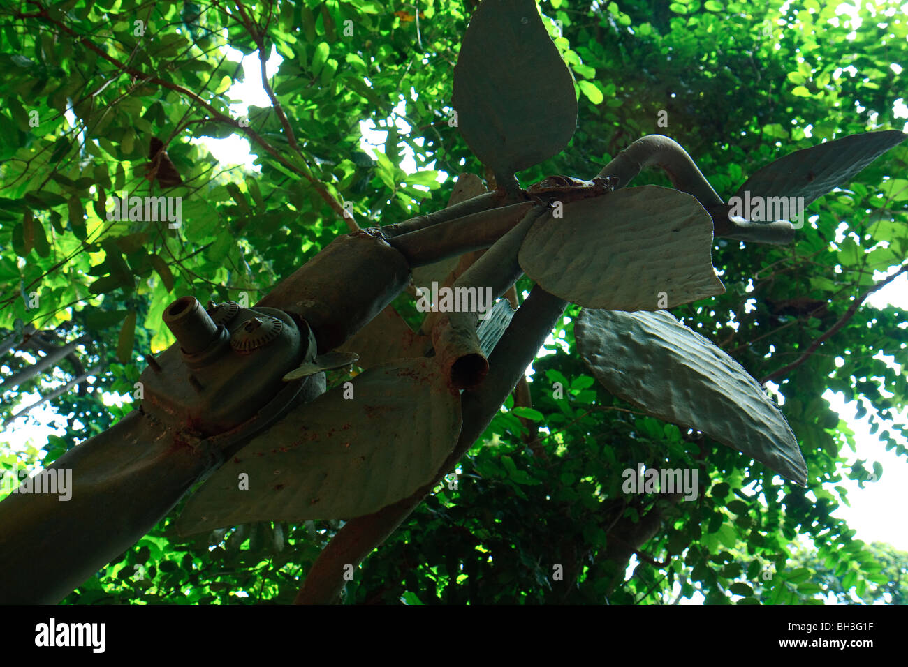 Ouidah forest hi-res stock photography and images - Alamy