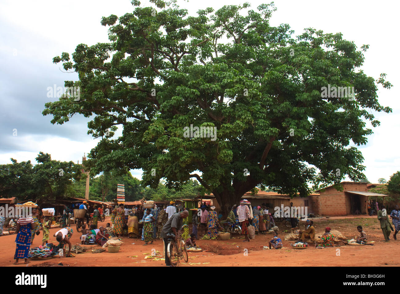 Abomey Africa Balancing Benin Market Street Tree Stock Photo - Alamy