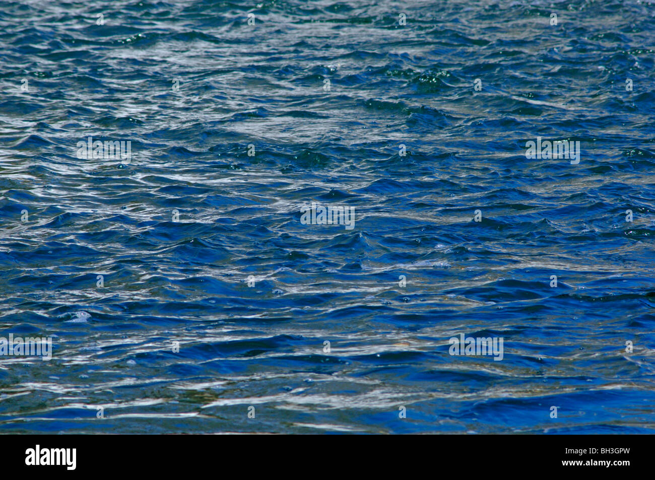 The clean clear fresh sparkling water of a local swimming hole is ...