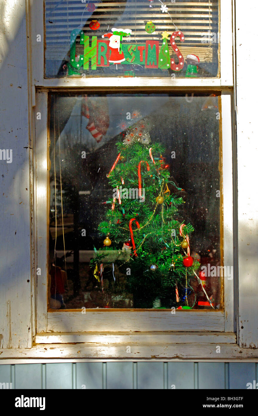 A simple and modest Christmas tree adorns the window of a poverty ...