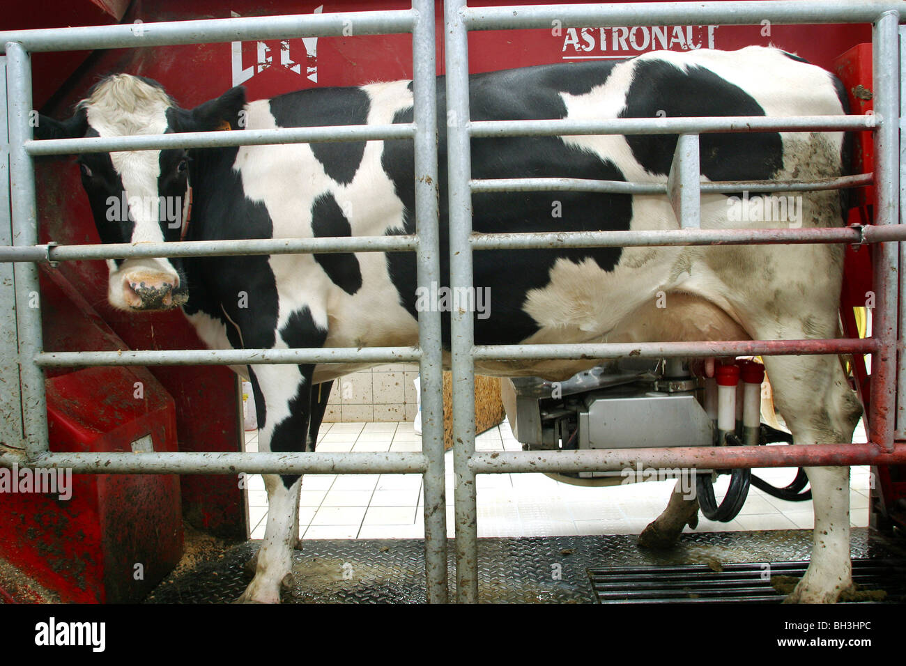Milking machine human hi-res stock photography and images - Alamy