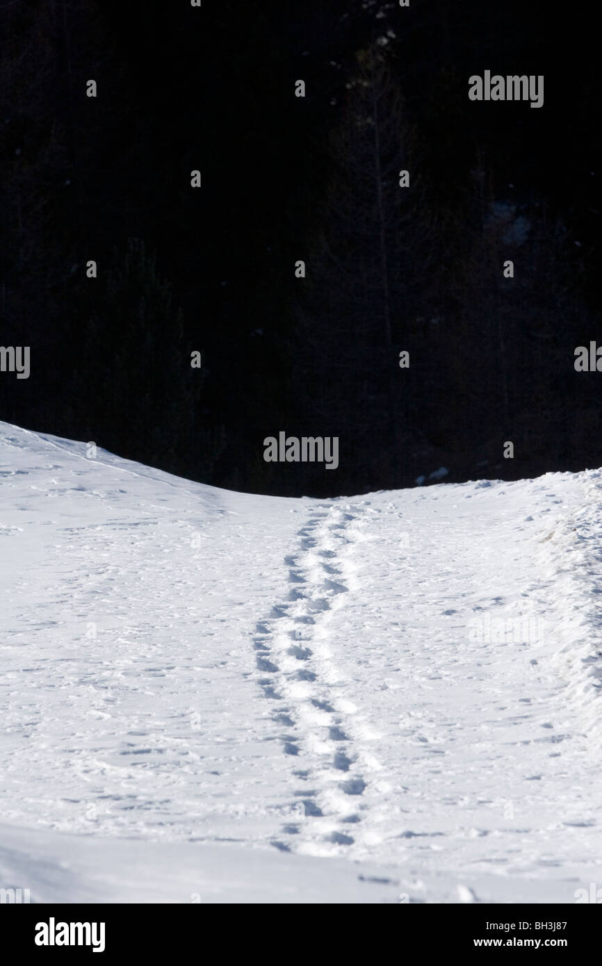 Snowshoe tracks in the Italian Alps Stock Photo - Alamy