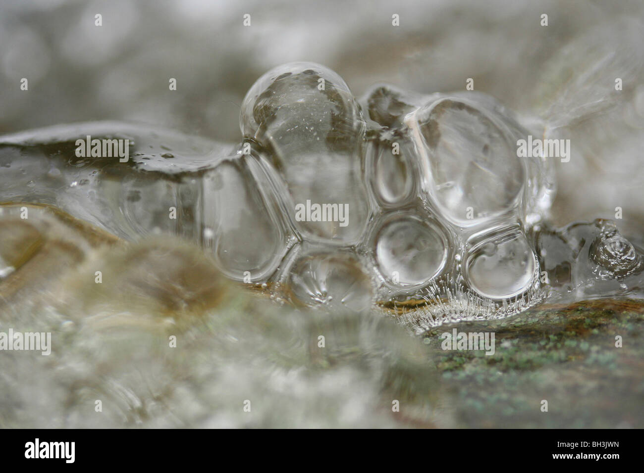 Ice garden hi-res stock photography and images - Alamy