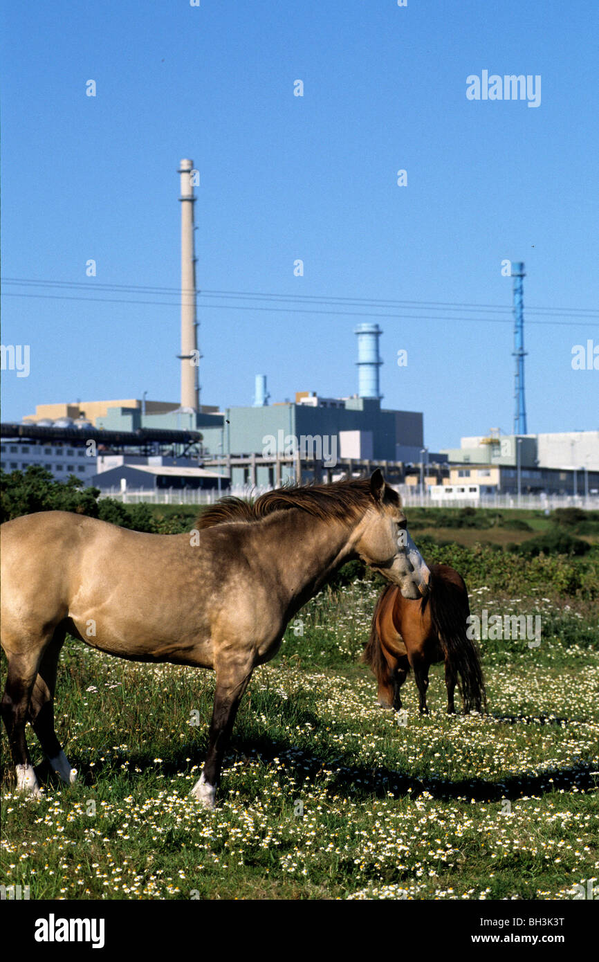 NUCLEAR WASTE REPROCESSING PLANT OF LA HAGUE, COGEMA CORPORATION ...