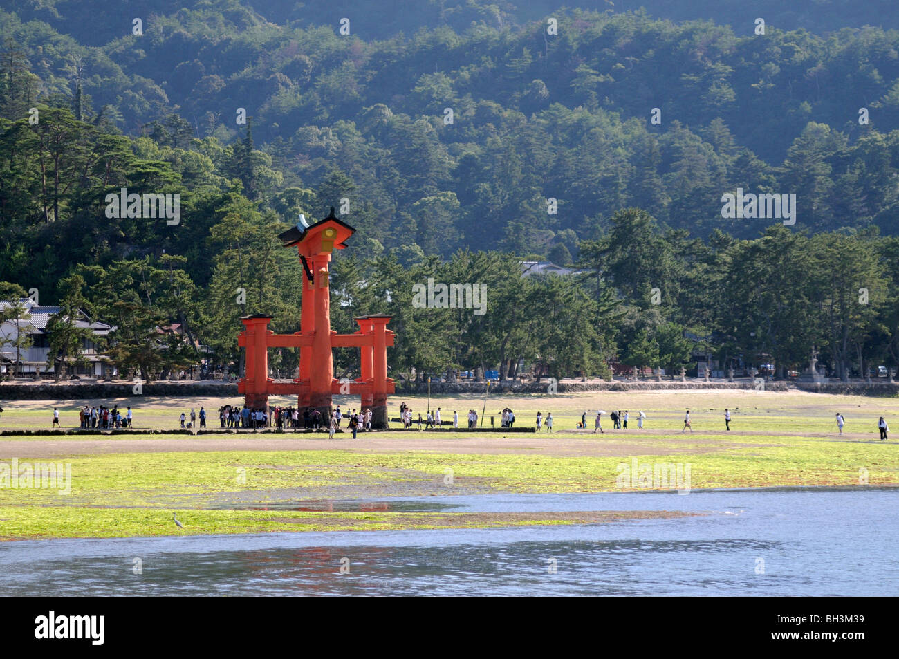 Famous Torii of Itsukushima Shrine, at low tide. Itsukushima (Miyajima ...