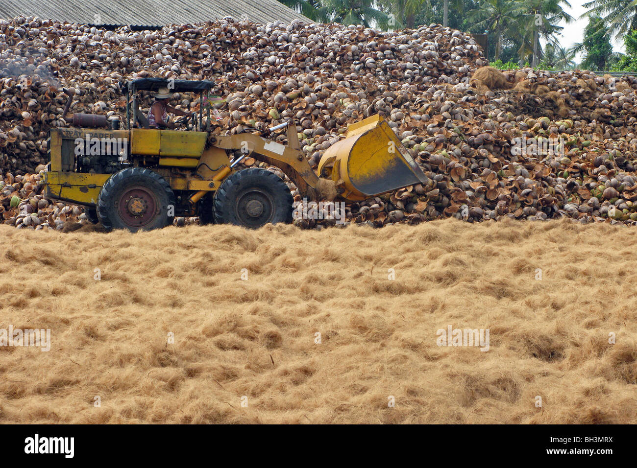 Drying and turning of coir hi-res stock photography and images - Alamy