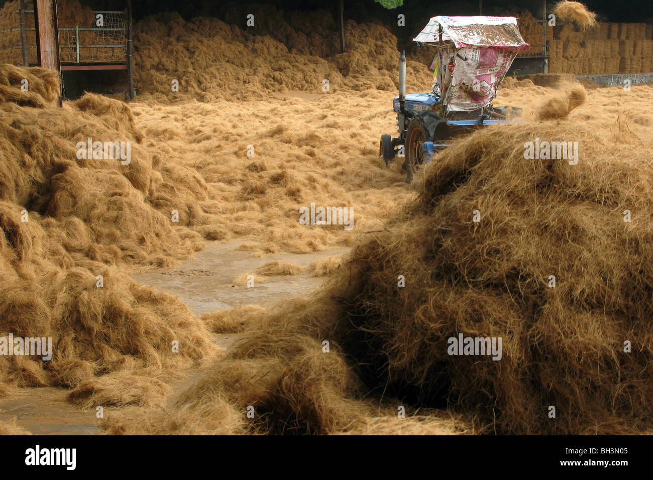 Drying and turning of coir hi-res stock photography and images - Alamy