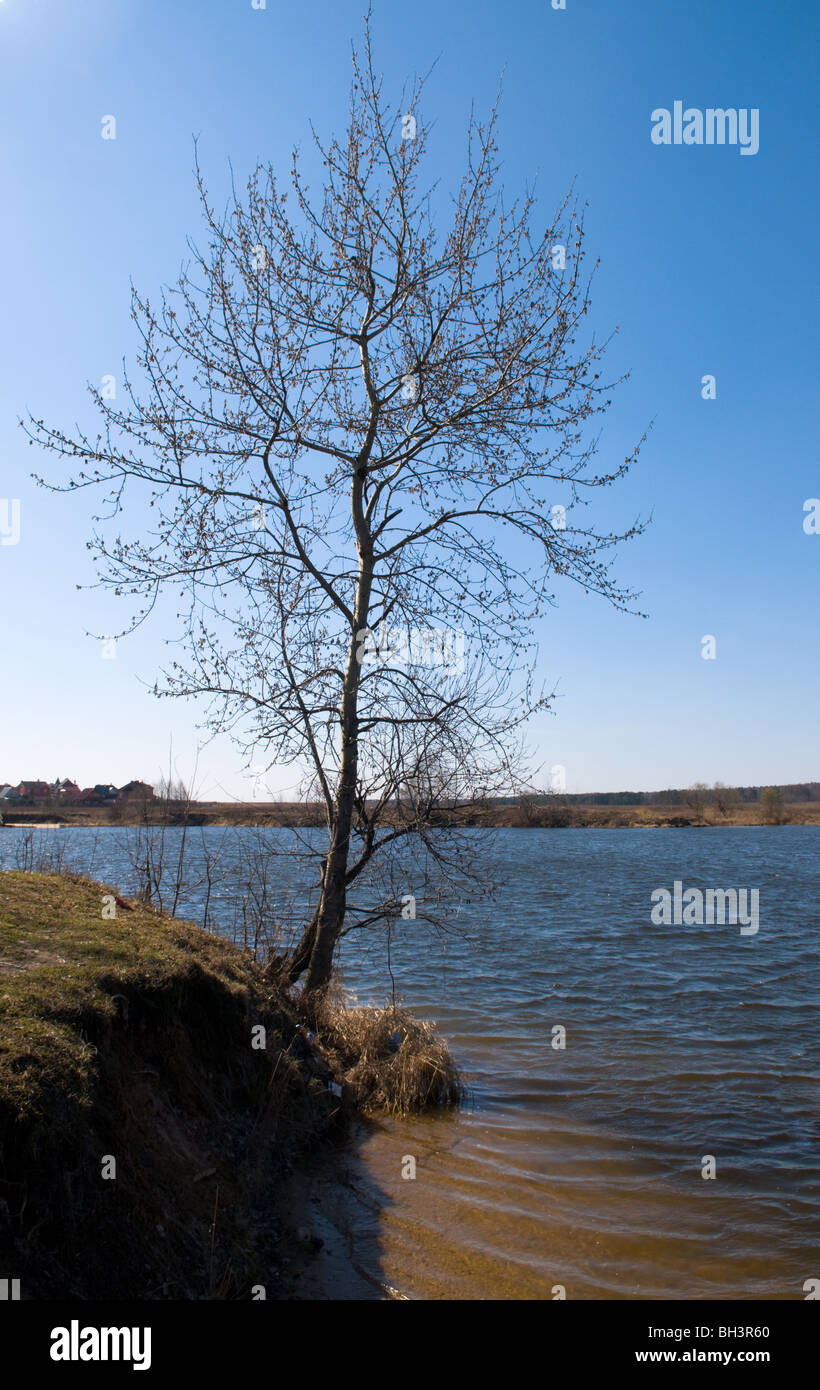 Landscape. A wood-reflection in lake Stock Photo - Alamy