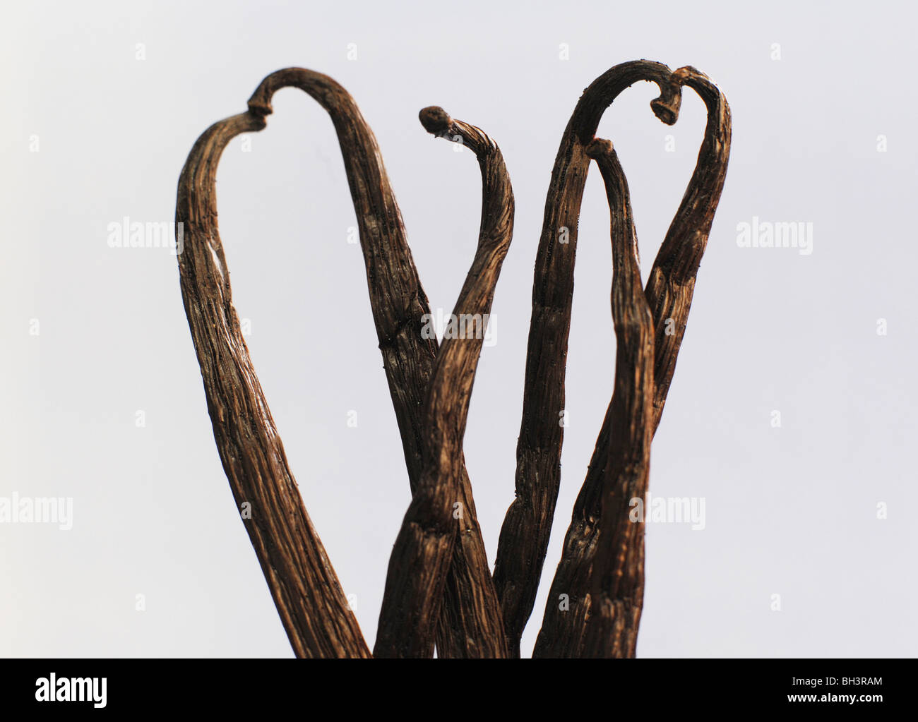 Vanilla pod pods hi-res stock photography and images - Alamy
