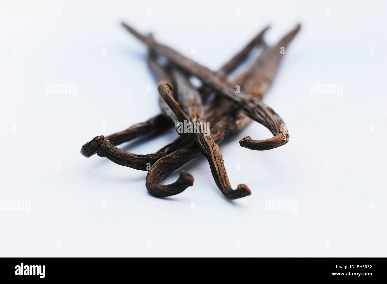 Vanilla pod Cut Out Stock Images & Pictures - Alamy