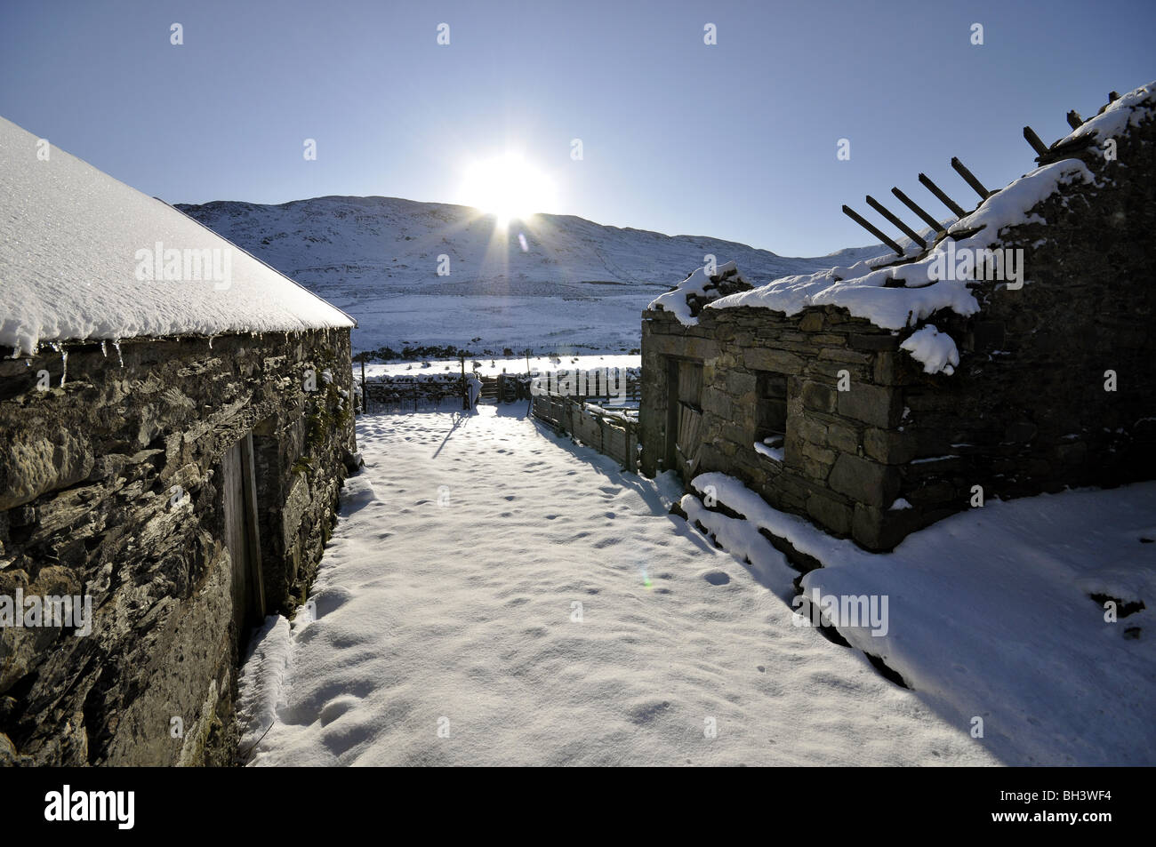 Winter farm snowdonia hi-res stock photography and images - Alamy