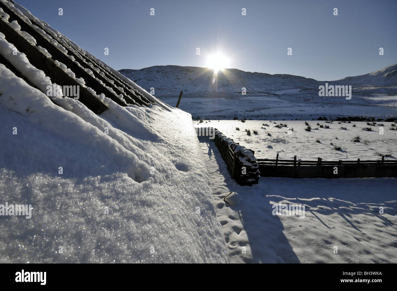 Winter farm snowdonia hi-res stock photography and images - Alamy