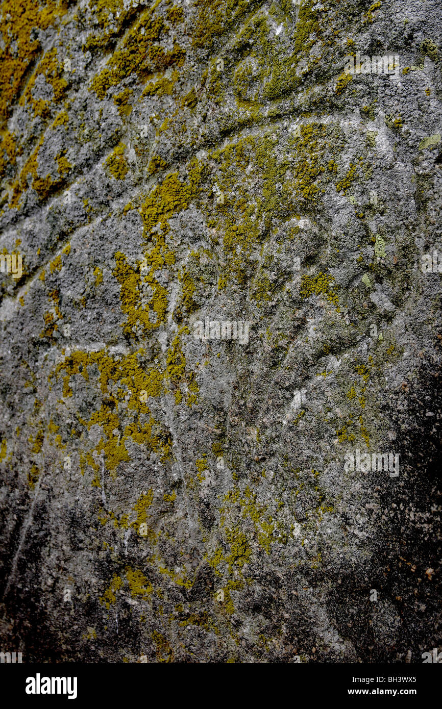 Pictish carved stone at Rhynie Stock Photo - Alamy