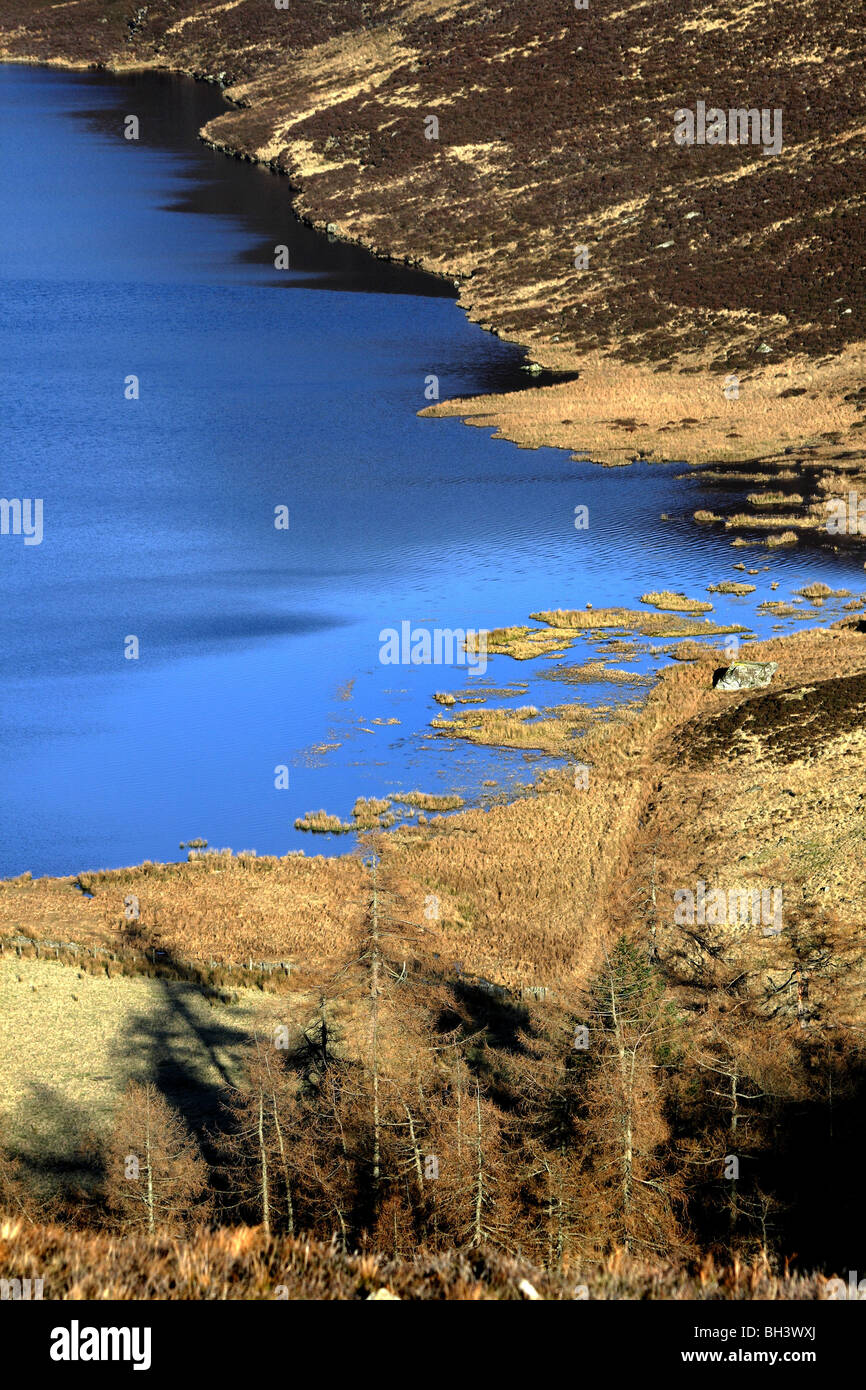Loch lee esk hi-res stock photography and images - Alamy