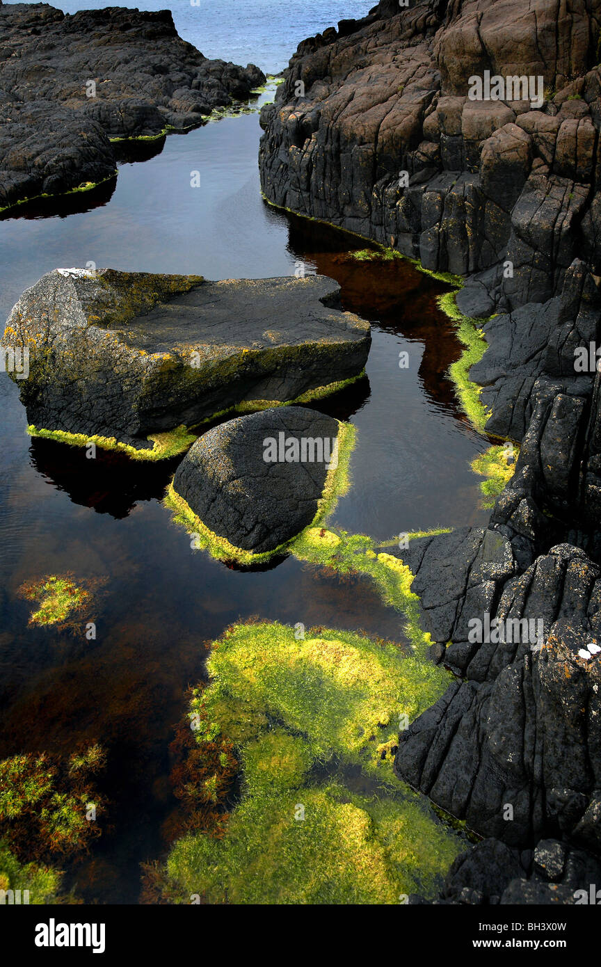 Natural pattern of rock and seaweed on Skye Stock Photo - Alamy